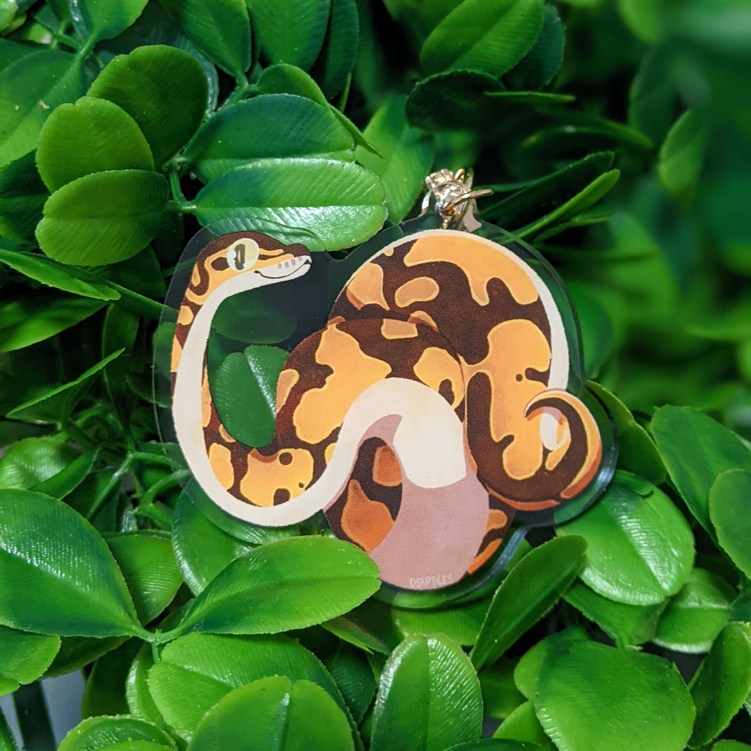 Ball Python Acrylic Charm – Derptiles